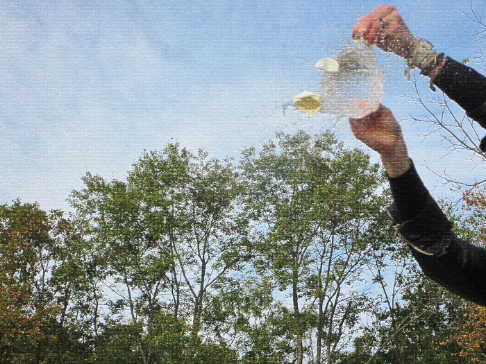 Shutter Speed by Shelby Vermeulen at Coroflot.com