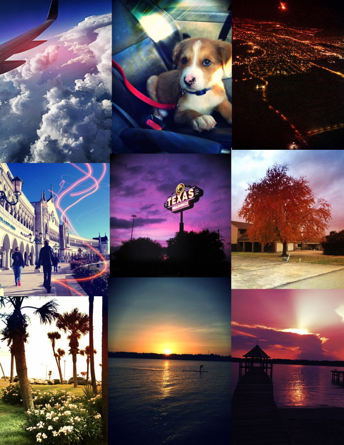 Cell Collage, 2013 by Rachel Moore at Coroflot.com