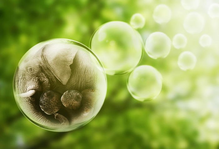 Photo manipulation by Patrick Ellasos at Coroflot.com