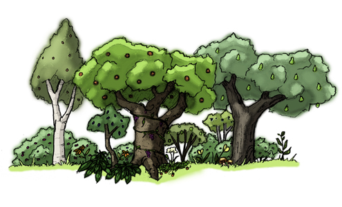 Illustration: "Edible Landscaping With a Permaculture Twist" by Matthew ...