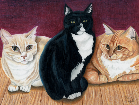 Group Portraits by Clare Parfitt at Coroflot.com