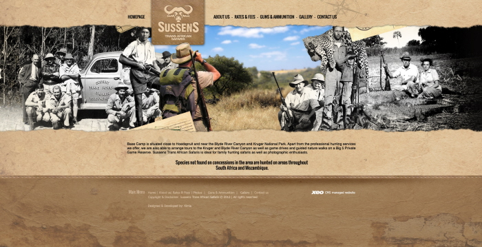 Website Designs By Nicholas Asher At Coroflot