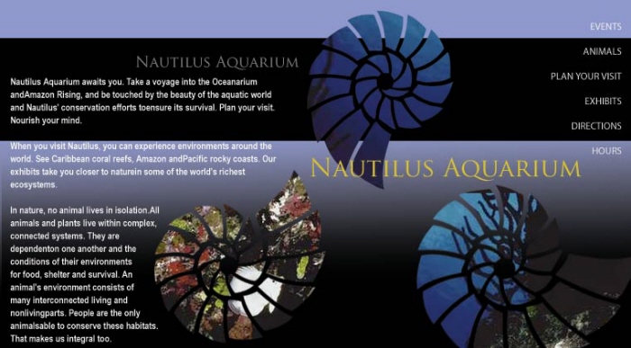 Web Design by Sherri Stouffer at Coroflot.com