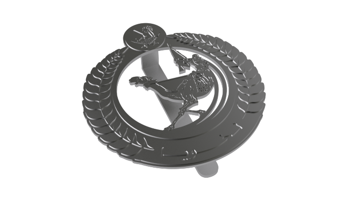 Lekhwiya Qatar Uniform Badges by Richard Gemaguim at Coroflot.com