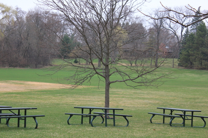 An upload by Trusten Annin on Coroflot: to the project Homage Shoot