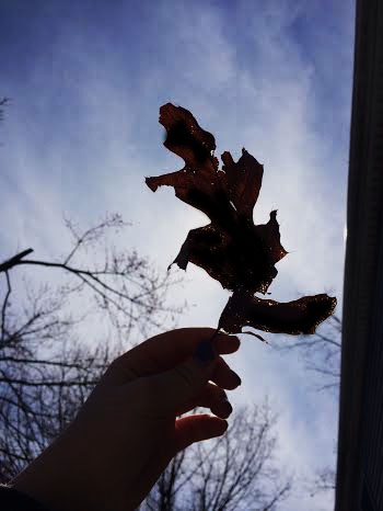 Sillhouette by Victoria Kish at Coroflot.com