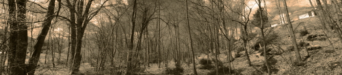 An upload by Kelly Carolan on Coroflot: to the project Game Landscapes