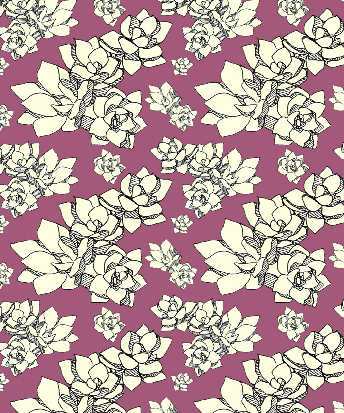 Desert Patterns & Prints by Hannah Chung at Coroflot.com