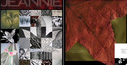 An upload by Jeannie Yip on Coroflot: to the project Portfolio