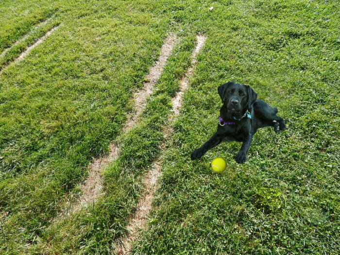 An upload by Jessica Matistic on Coroflot: to the project Combination ...