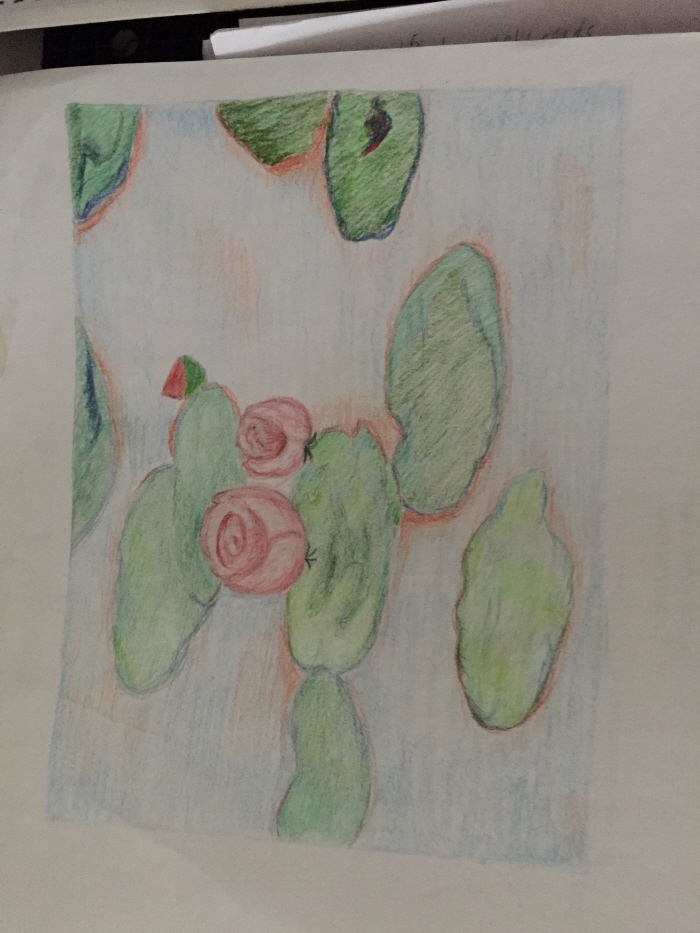 An upload by Jessica Matistic on Coroflot: to the project Intermediate MP4