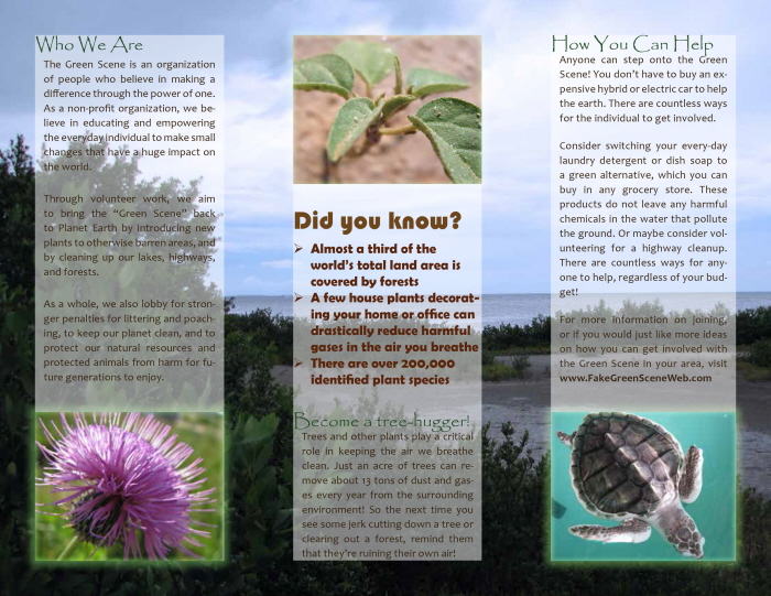 The Green Scene Brochure by Devon Lozano at Coroflot.com