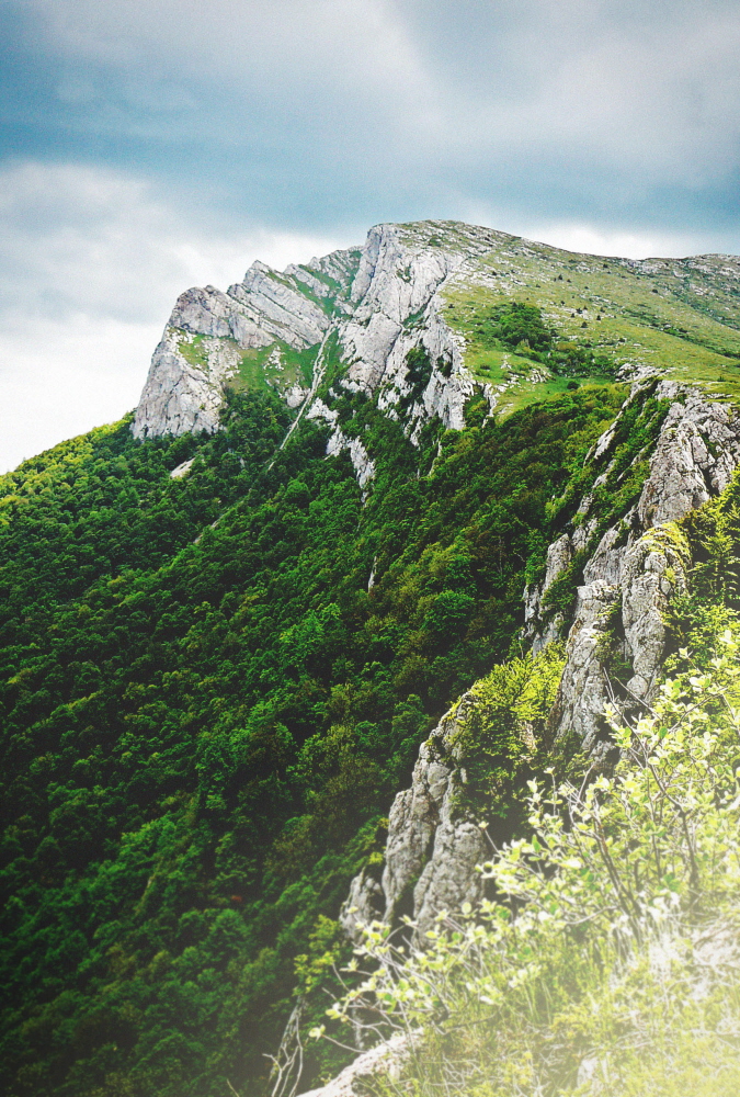 1 by Svetlana Ganzya at Coroflot.com