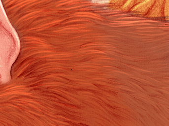 ANTA - tour poster by Alex Bertram-Powell at Coroflot.com