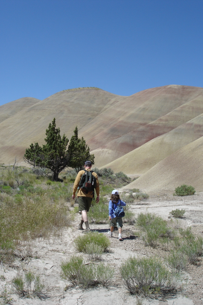 An upload by Amy Riggs on Coroflot: to the project Nature