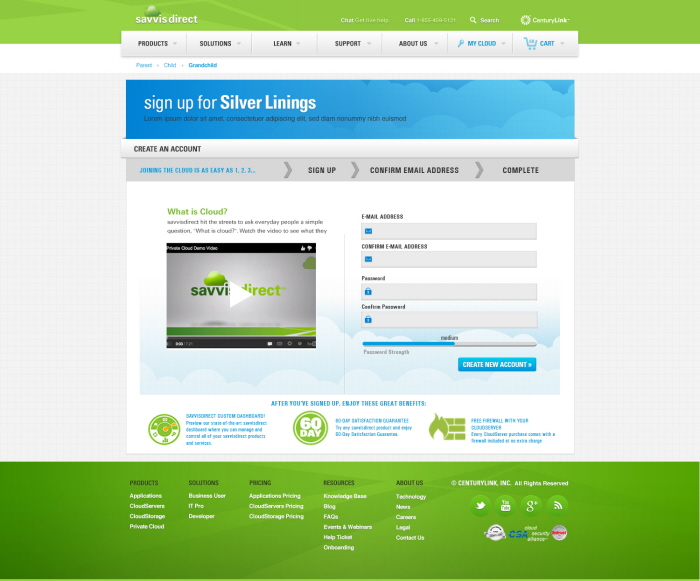 An upload by Gerry J. Roland on Coroflot: to the project Savvis Direct ...