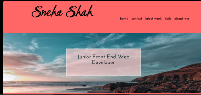 Sneha's Portfolio by Sneha Shah at Coroflot.com