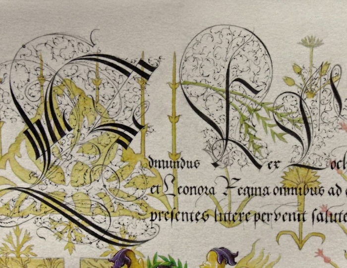 Silhouette Paper Manuscript by Mark Calderwood at Coroflot.com