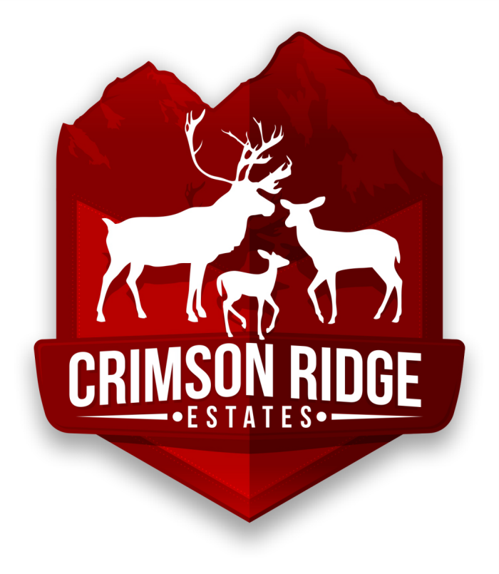 Logo Designs by BrownCreative 86 at Coroflot.com