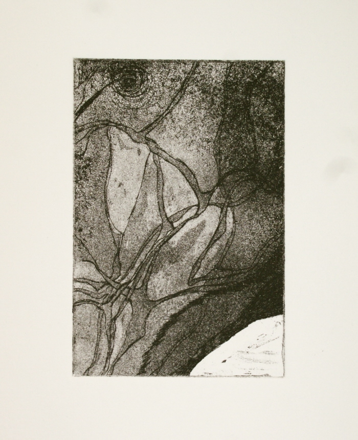 Basic Printmaking Examples by Samantha Weiss at Coroflot.com