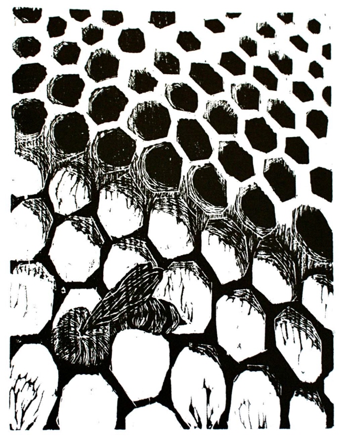 Basic Printmaking Examples by Samantha Weiss at Coroflot.com