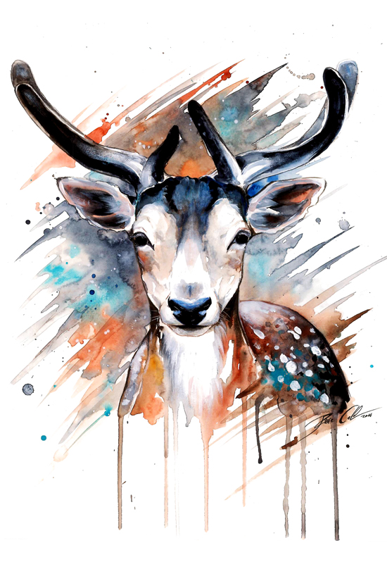 All works by Pixie Cold at Coroflot.com