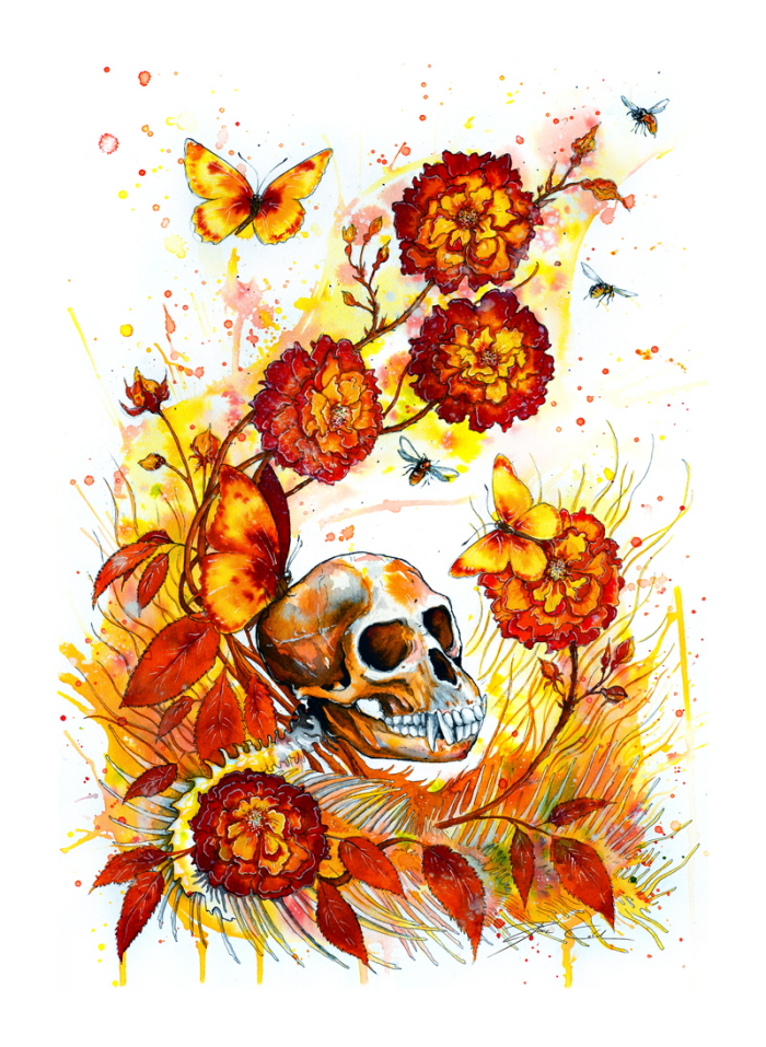 All works by Pixie Cold at Coroflot.com