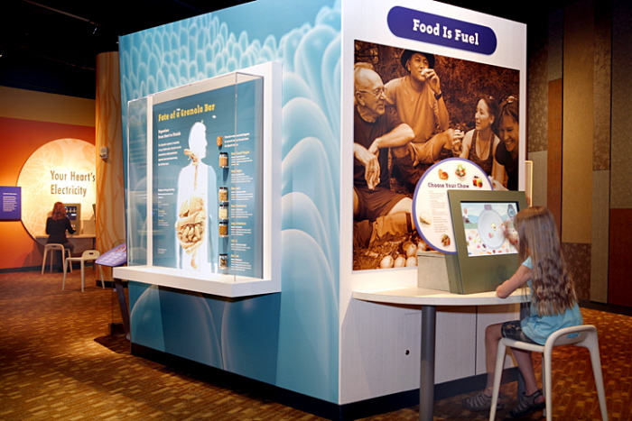 Expedition Health: Denver Museum of Science by JAY HARDMAN at Coroflot.com