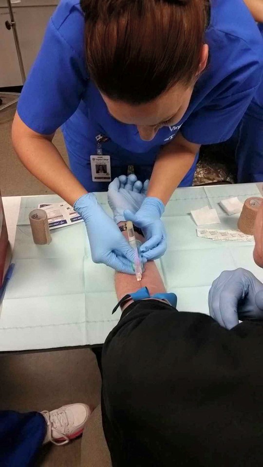 Blood Draws, Blood Slides/stained by Jamie Venable at Coroflot.com