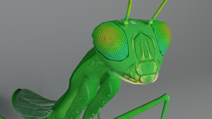 An upload by Nate Boster on Coroflot: to the project Praying Mantis