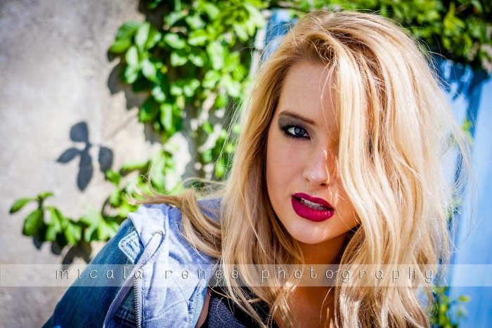 Clarissa Brown by Micala Herigon at Coroflot.com