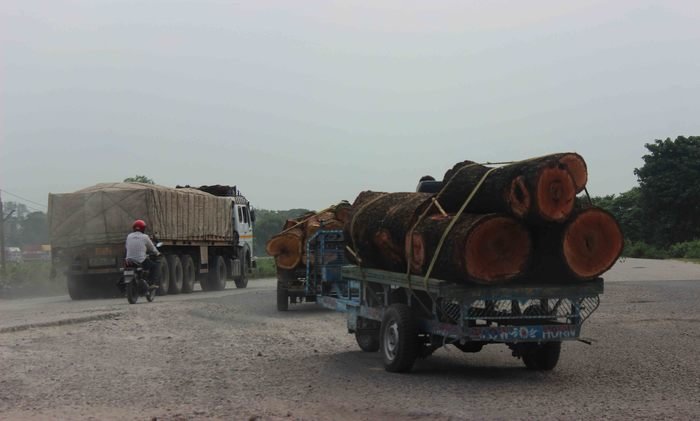 Illegal Timber Smuggling in Eastern Indian State of Assam, near India-Bhutan International ...