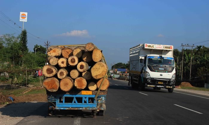 Illegal Timber Smuggling in Eastern Indian State of Assam, near India ...