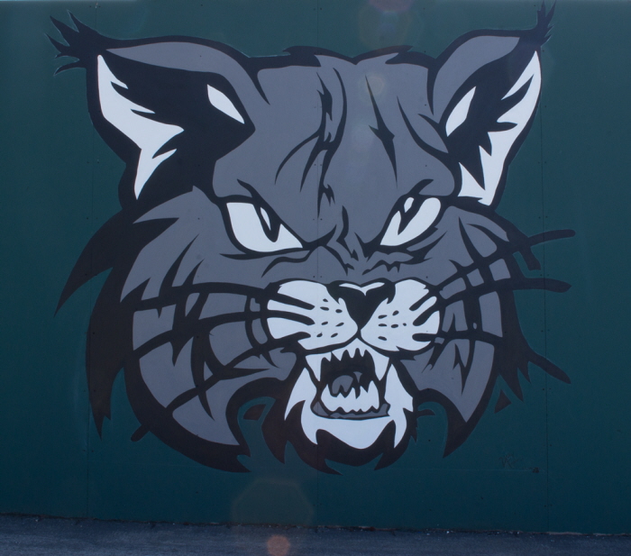 Fierce Bobcat by Victoria Aguilar at Coroflot.com