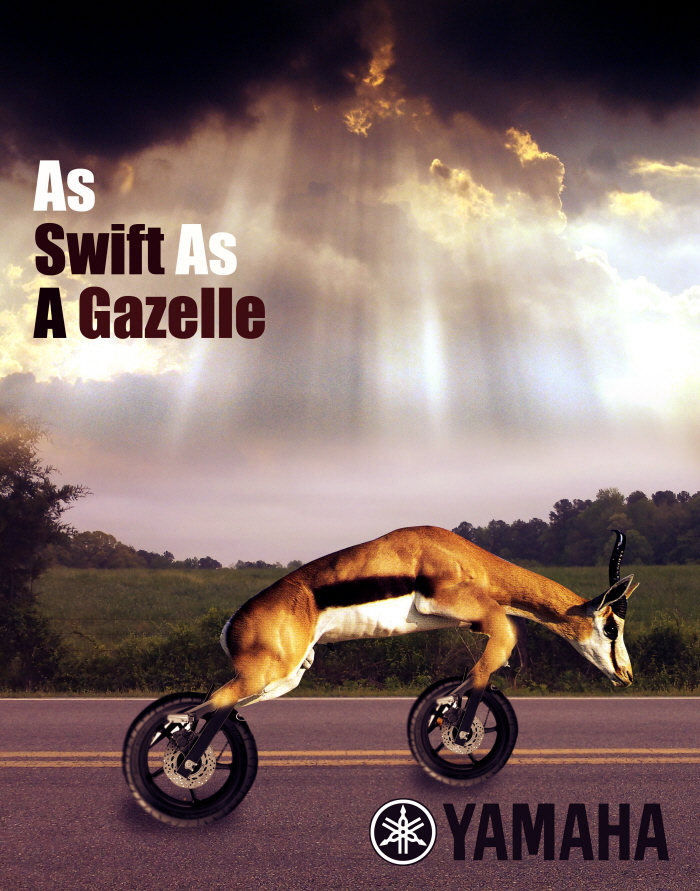 Visual Metaphor by Derrick Hardware at Coroflot.com