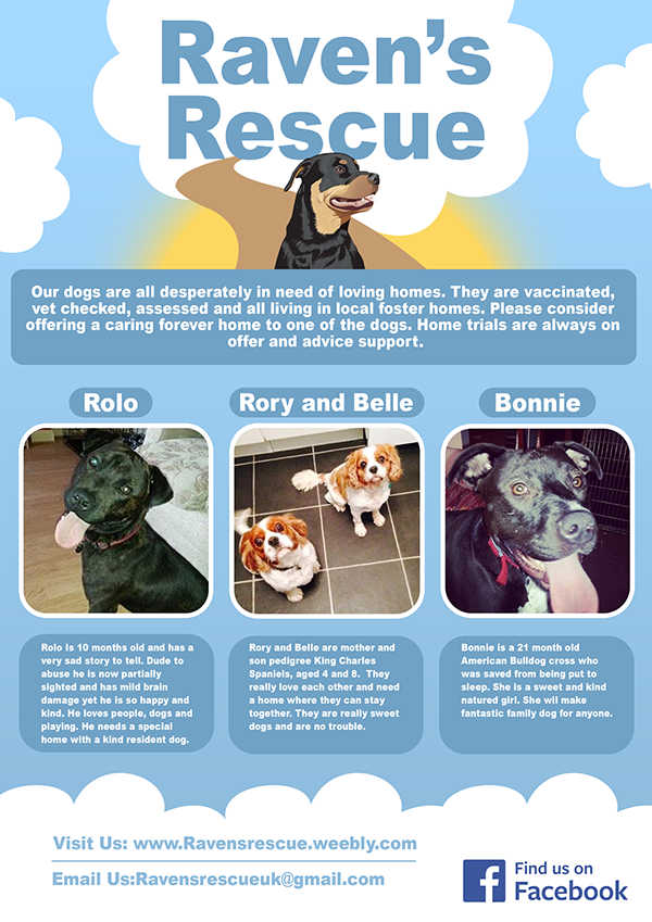 Raven's Rescue Dog Adoption Posters by Jake Thomas Warrilow at Coroflot.com