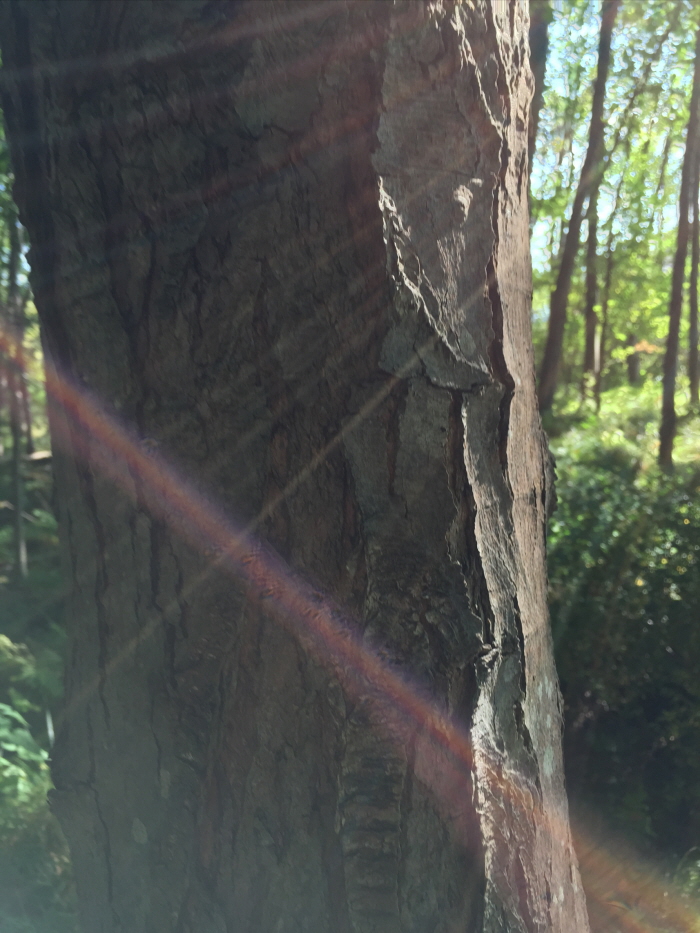 scavenger hunt by Ryan Pyper at Coroflot.com