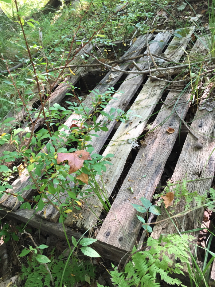 scavenger hunt by Ryan Pyper at Coroflot.com