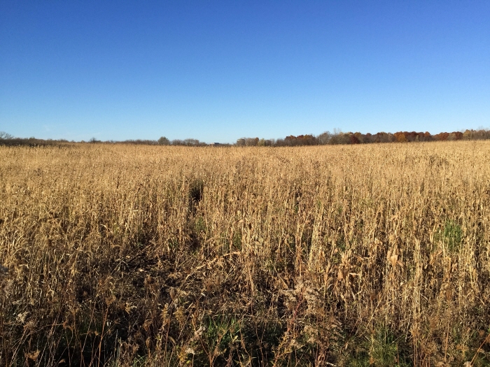 Homage Shoot by Ryan Suhanek at Coroflot.com