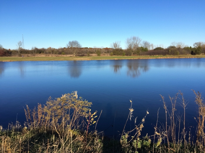 Homage Shoot by Ryan Suhanek at Coroflot.com