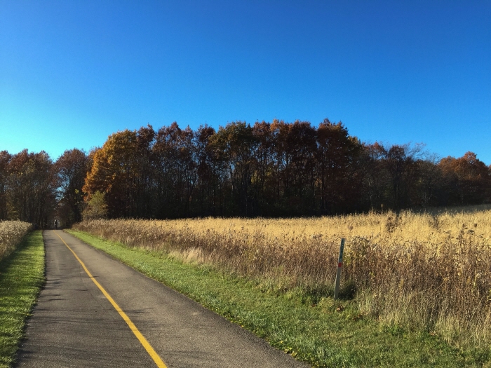 An upload by Ryan Suhanek on Coroflot: to the project Homage Shoot