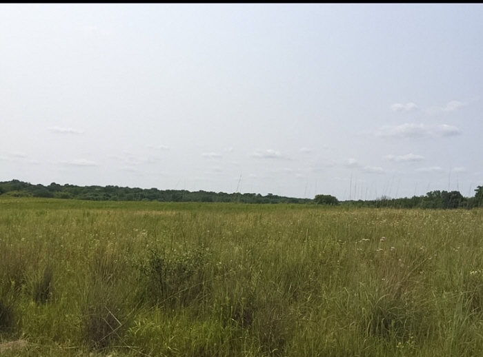 Homage Shoot by Ryan Suhanek at Coroflot.com