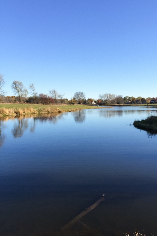 Homage Shoot by Ryan Suhanek at Coroflot.com