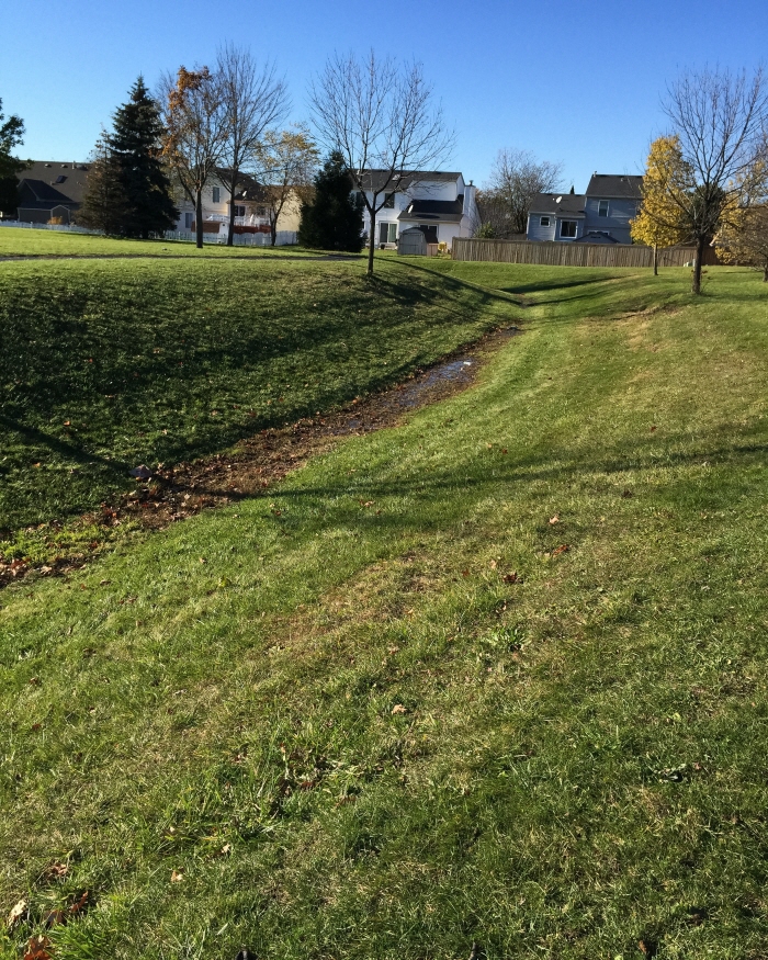 Homage Shoot by Ryan Suhanek at Coroflot.com