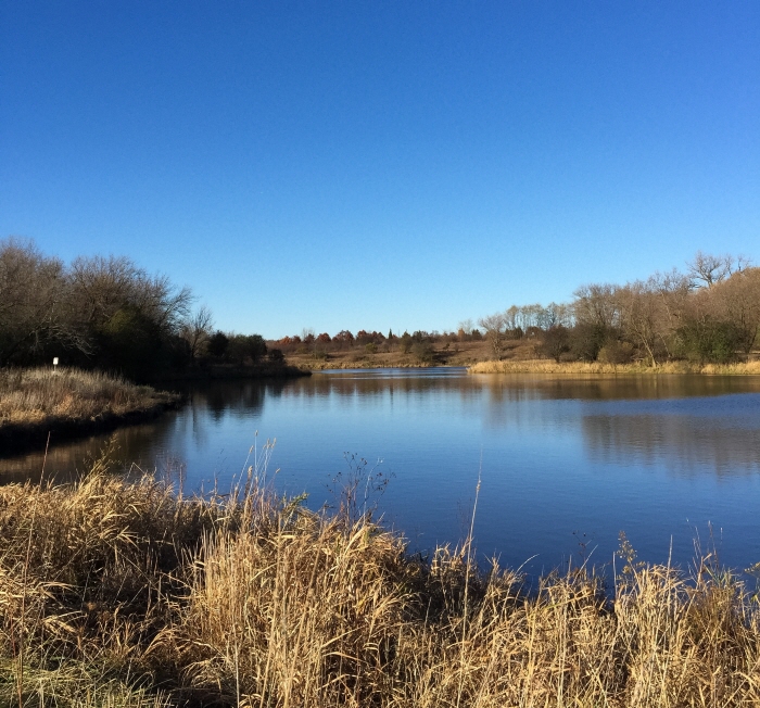 Homage Shoot by Ryan Suhanek at Coroflot.com