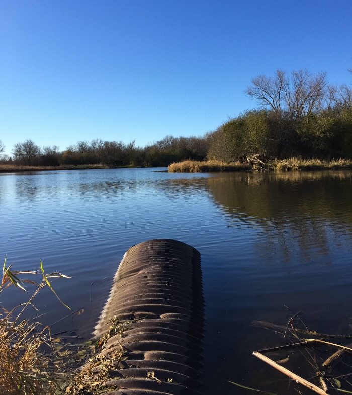 Homage Shoot by Ryan Suhanek at Coroflot.com