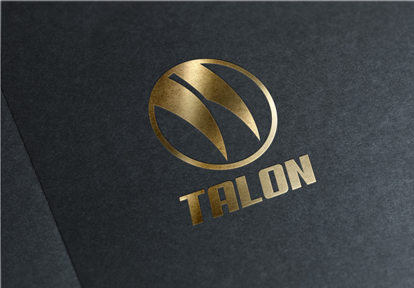 Talon Sportscars (fictional company) by Florian Heinz at Coroflot.com