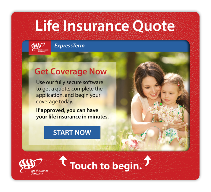 AAA Life Insurance Company by Alejandra D'Jermanos at Coroflot.com