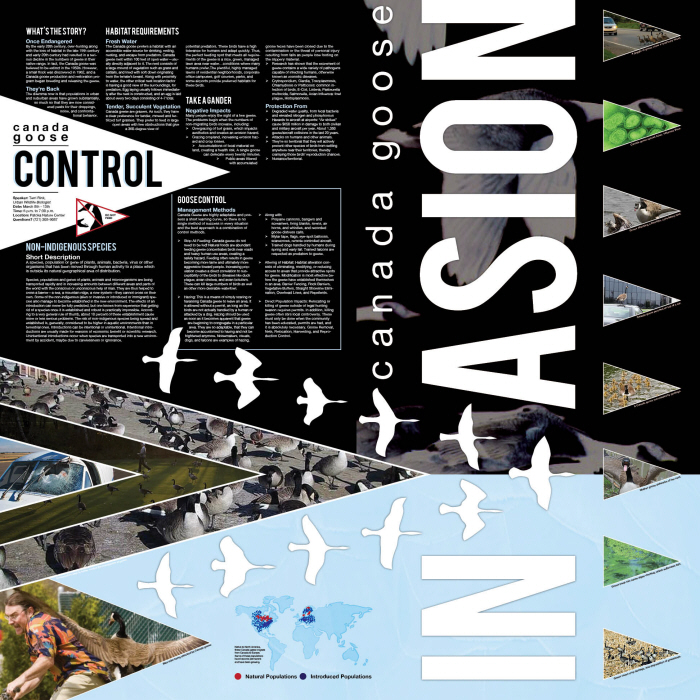 An upload by Amanda Morrison on Coroflot: to the project Invasion Poster