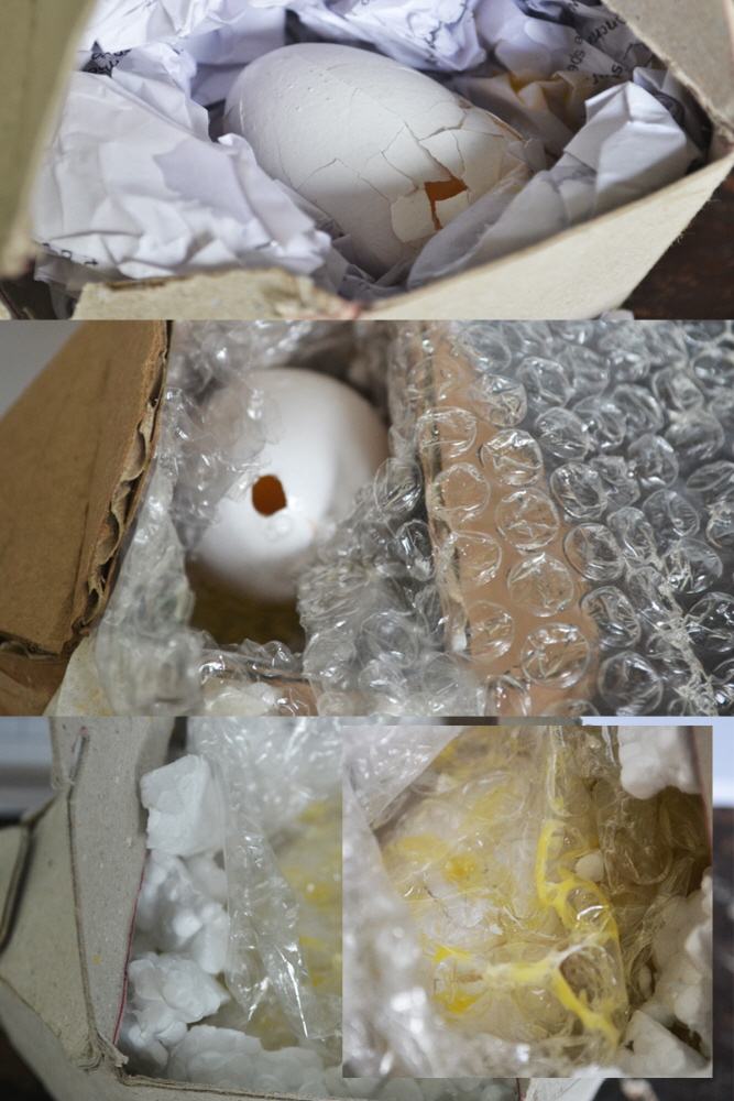 Egg Drop Package Design 1 by Bethel Joy Peña at Coroflot.com